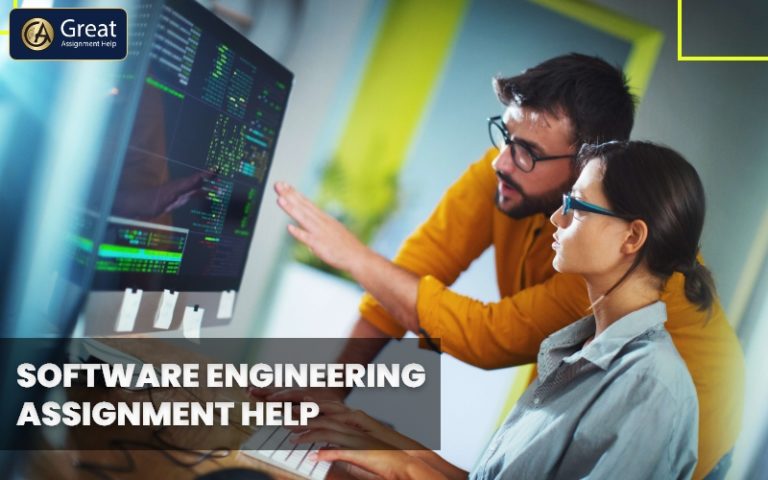 Why Online Software Engineering Assignment Help is the Future of ...